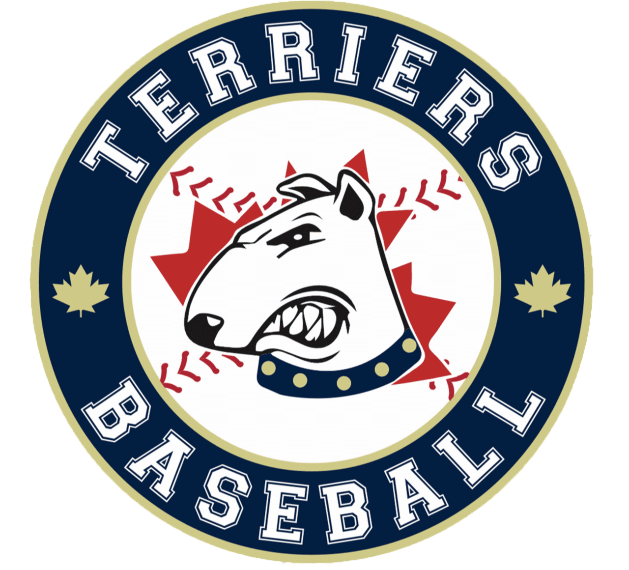 13U Roster | Terriers Baseball | ON